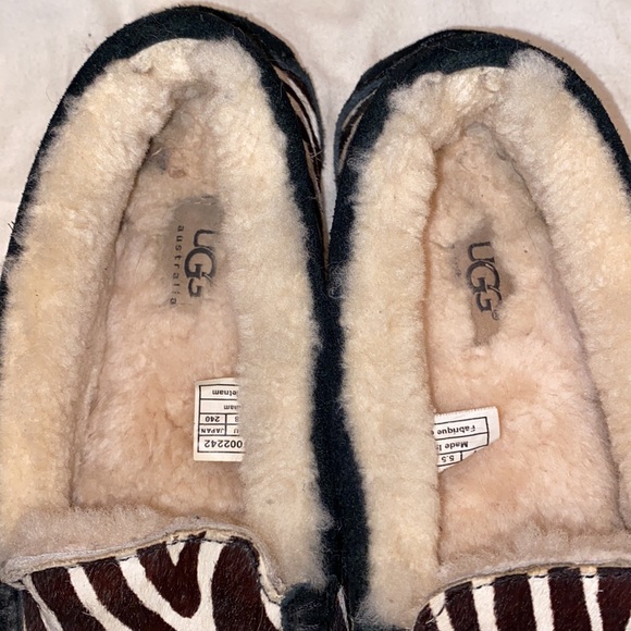 Shoes | Ugg Zebra Slippers | Poshmark